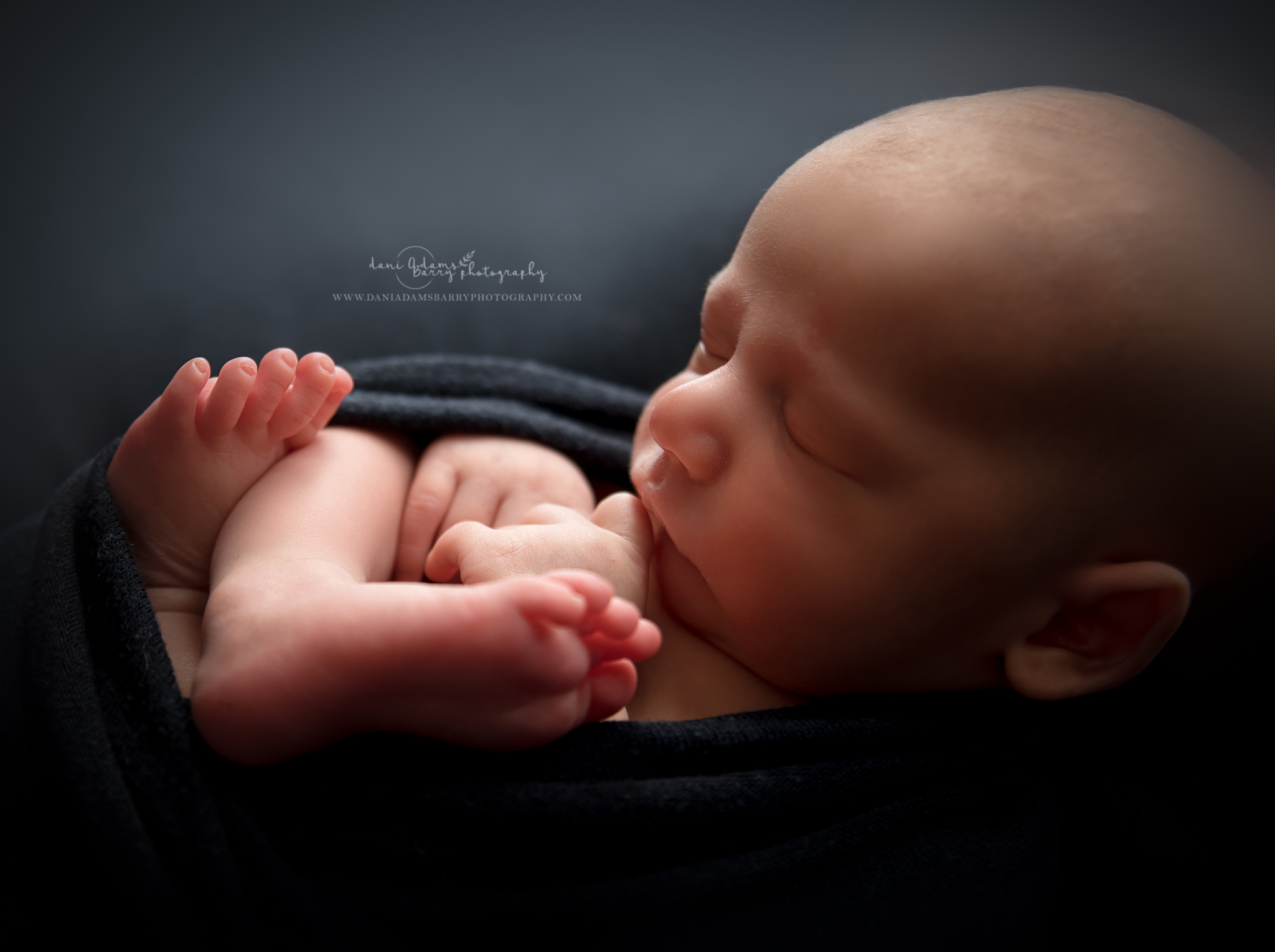 Moon and Star Newborn Photos - Newborn Photography Dallas TX