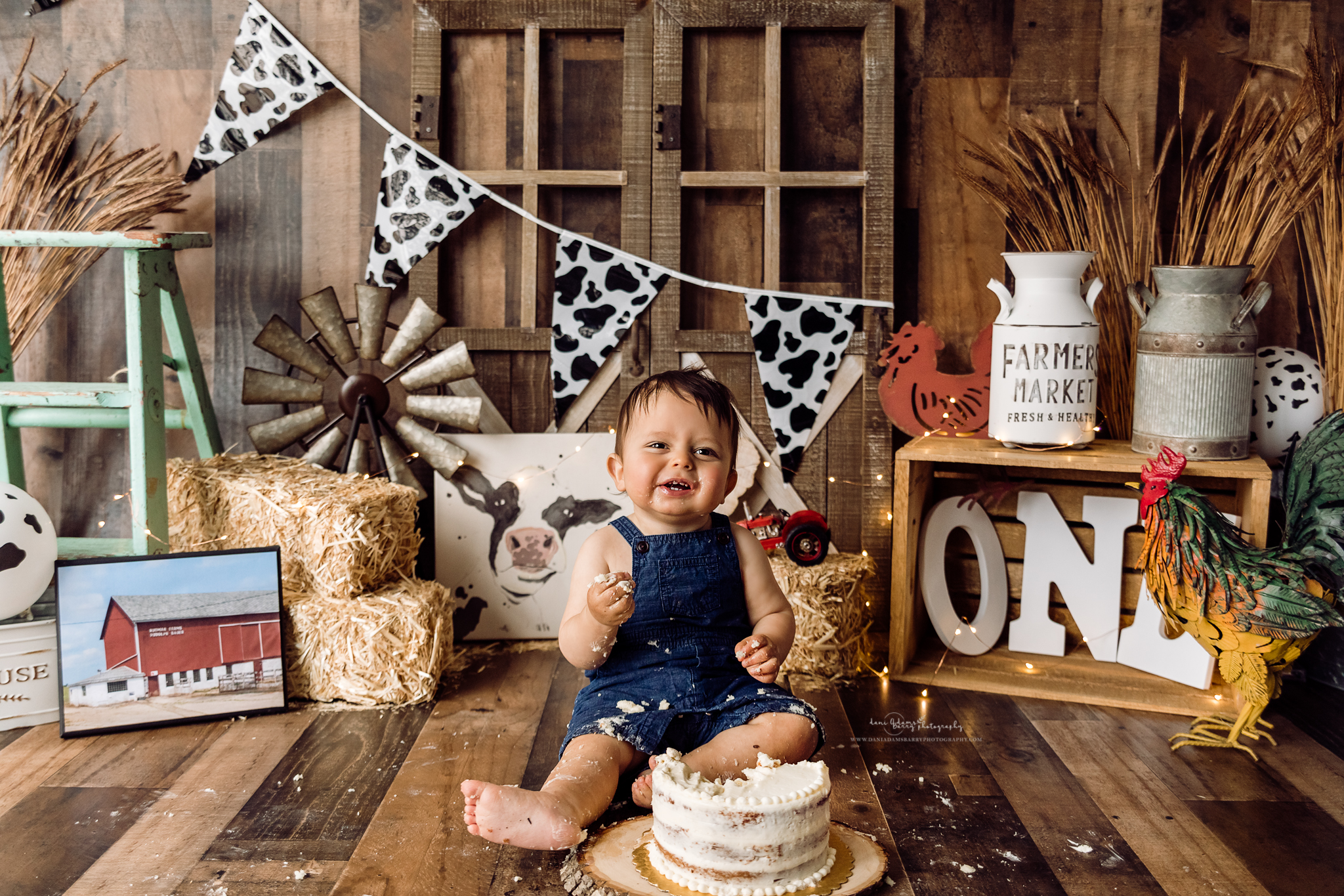 Farm Cake Smash Milestone Photos - Dallas Texas Photography